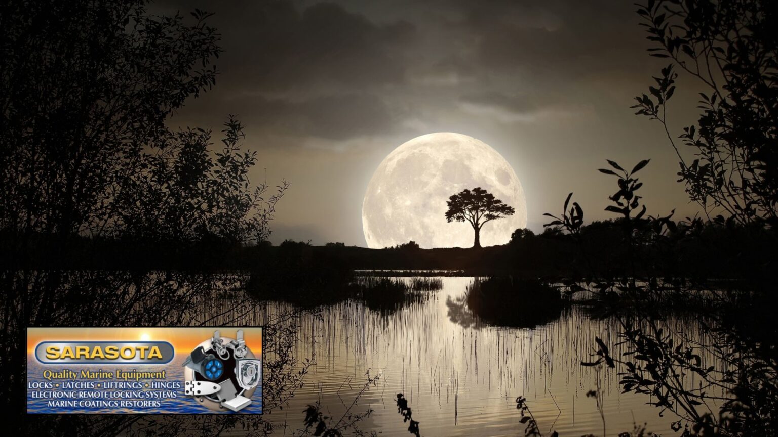 Regional Bass Fishing Secrets: How Moon Phase Strategies Change from ...